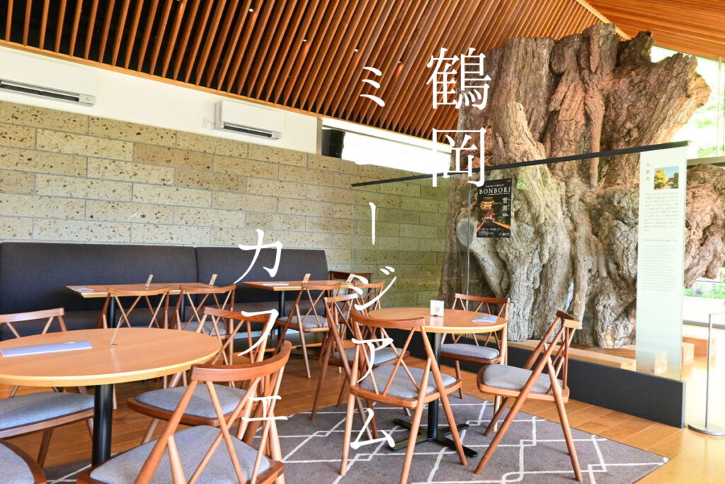 茅ヶ崎といえば海鮮料理 ～網元料理あさまる～ かまふち